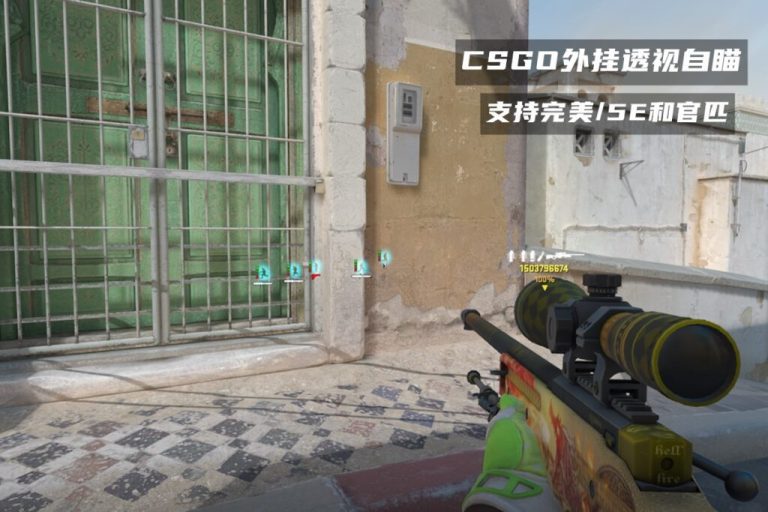 CSGO辅助 - CSGO外挂透视自瞄 - 【2025】支持5E完美平台